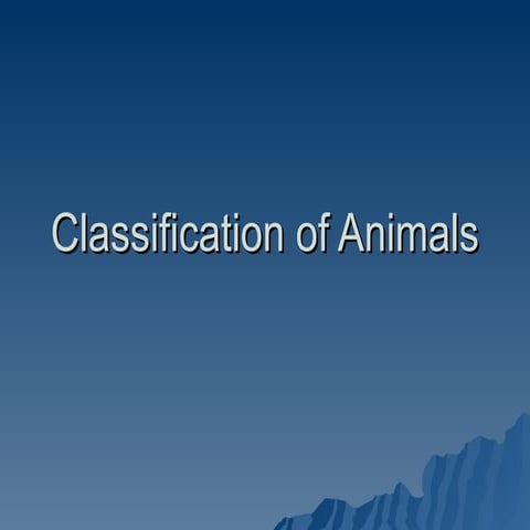 Classification of animals | PPT