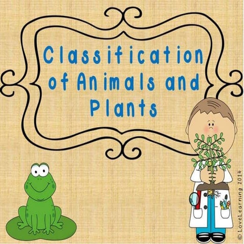 Classification of animals and plants tpt individual | PPTX | Gardening ...