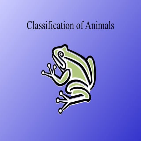 classification of animals good presentation.ppt