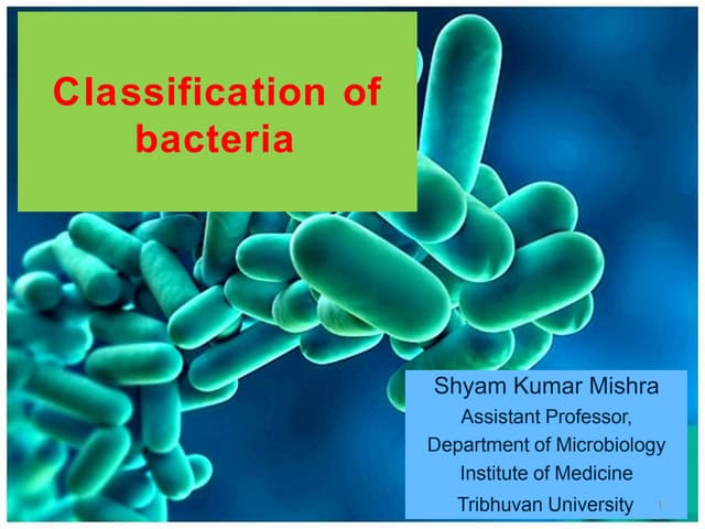 Classification of bacteria | PPTX