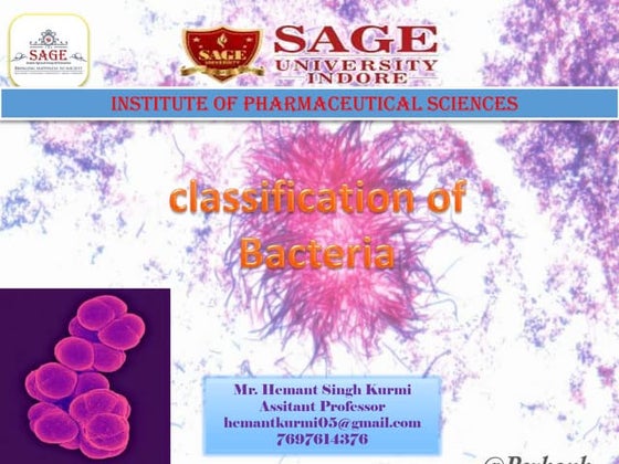 Classification of bacteria | PPTX | Biological Sciences | Science