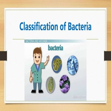Classification of Bacteria.pptx