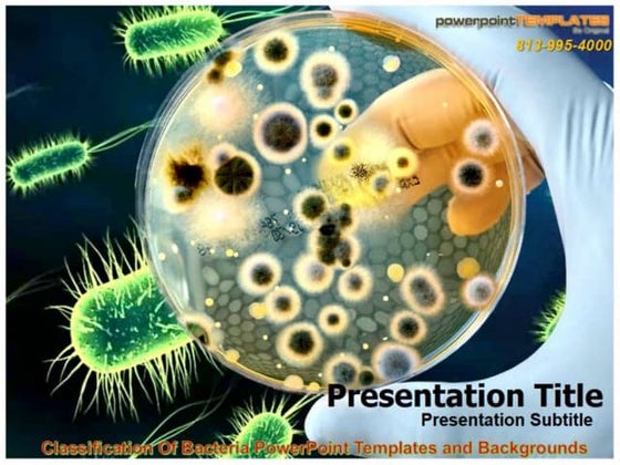Classification of bacteria | PPTX | Biological Sciences | Science