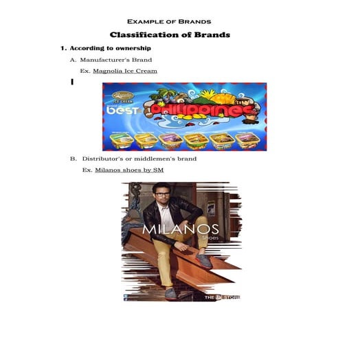 Classification of brand | DOC