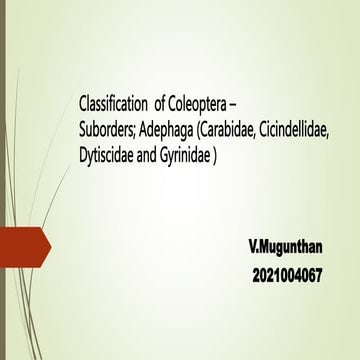 Classification of Coleoptera – suborders.pptx