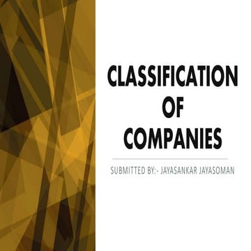 Classification of Companies | PPTX