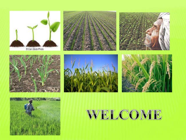 Planting-Systems.pptx