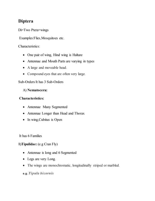 compare and contrast the morphology of Cestodes, Trematodes, and Nem.pdf