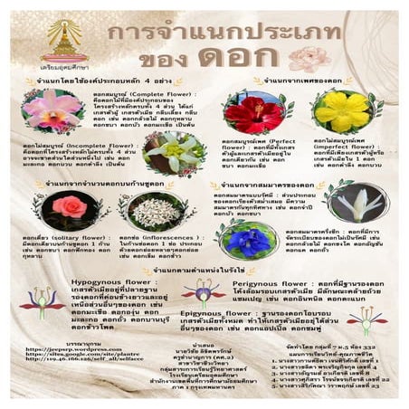 Classification of flowers poster | PDF
