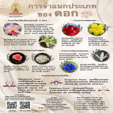 Classification of flowers poster | PDF