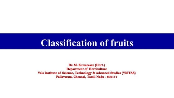 5. Classification of Fruits according to types.pptx