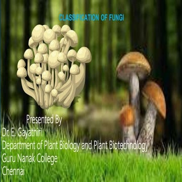 Classification of fungi | PPT