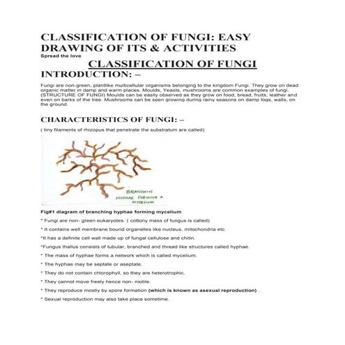 CLASSIFICATION OF FUNGI.docx