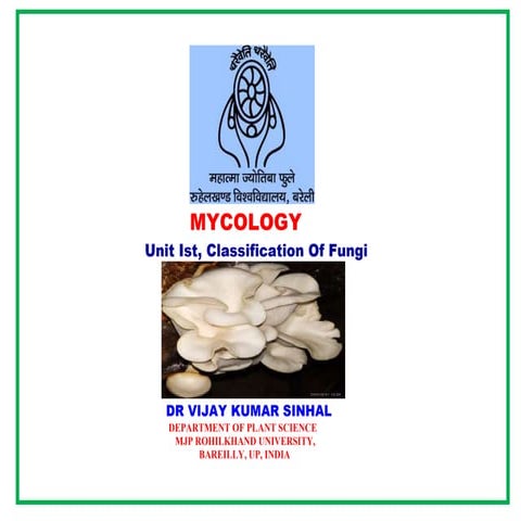 classification of fungi.docx
