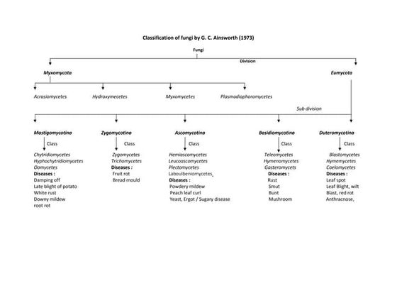 How Inter bacteria into host./ How penetrate host defenses | PDF