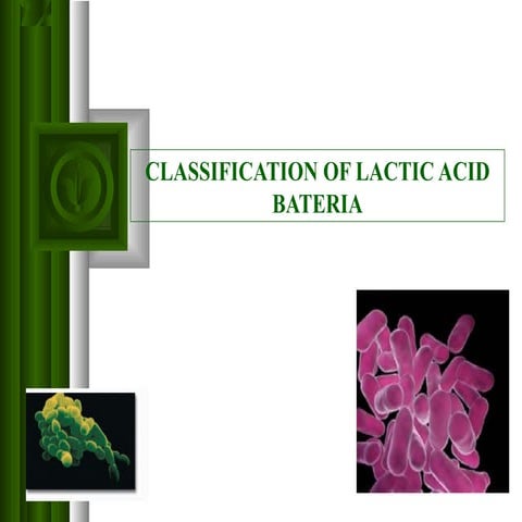 Classification of Lactic acid bacteria | PPT