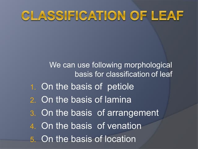 Shapes of plant leaf | PDF