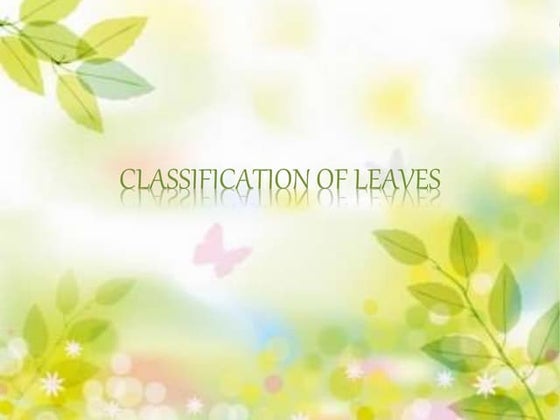 Shapes of plant leaf | PDF