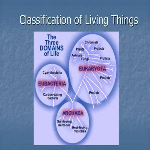 Classification of living_things | PPT