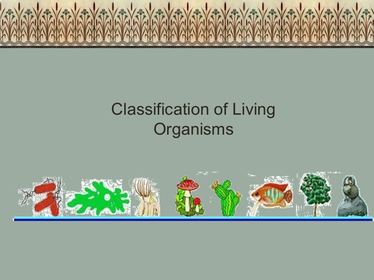 Classification of Living Things