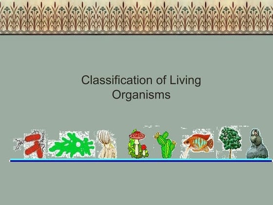 Introduction to Biology | PPT