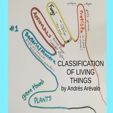 Classification of living things | PDF