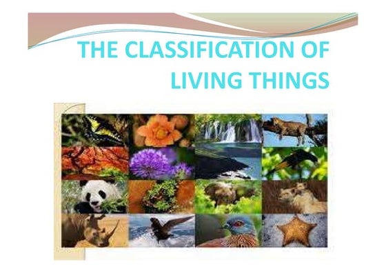 Living things | PPT