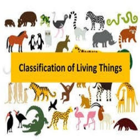 Classification of living things (An Introduction) | PPT