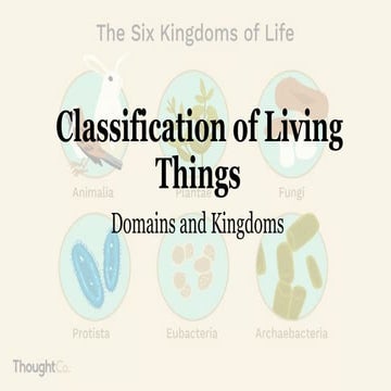 Classification of Living Things.pptxXXXX | PPTX