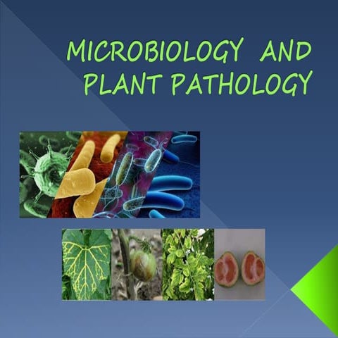 Classification of living world.ppsx
