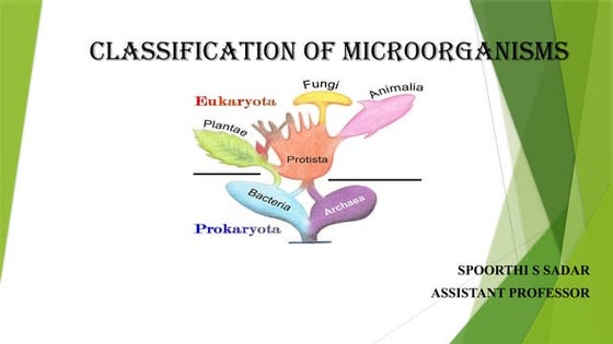 Classification of microorganism | PPTX | Biological Sciences | Science