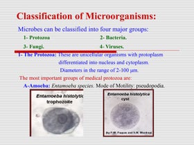 Introduction to microbiology | PPT