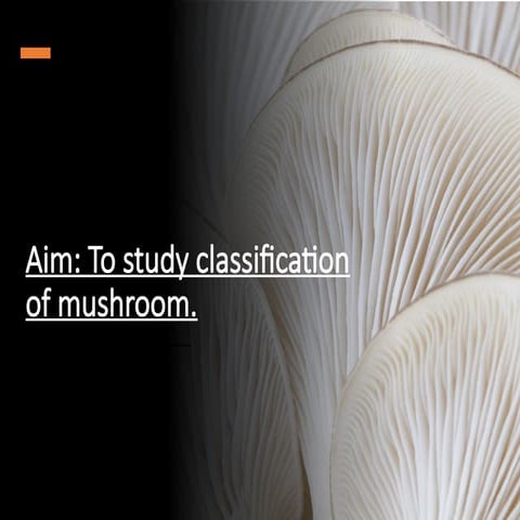 Classification of mushrooms | PDF