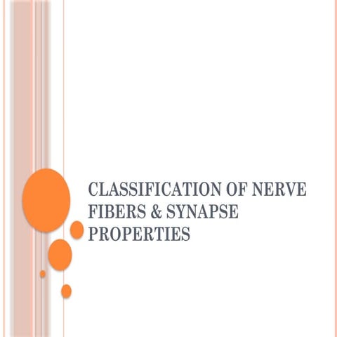 Classification of Nerve fiber, in physiotherapy | PPTX