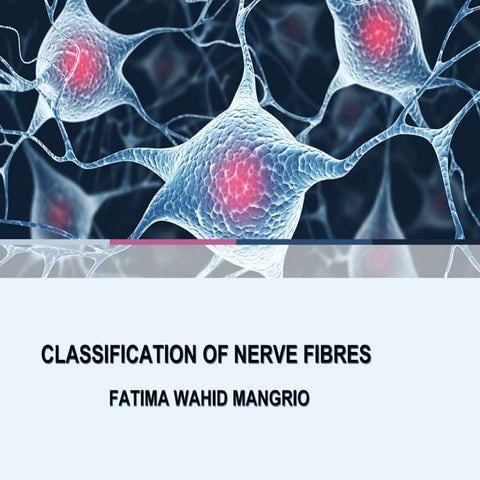 Classification of nerve fibres | PPTX