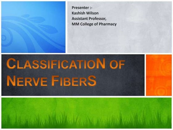 Classification of nerve fibres | PPT