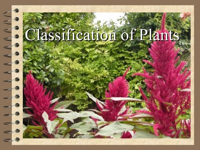Reproduction in plants | PPTX