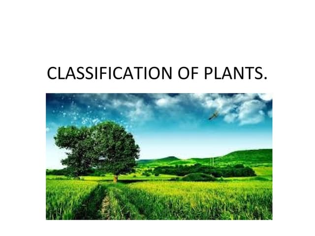 Classifying Plants According to Different Kinds | PPTX