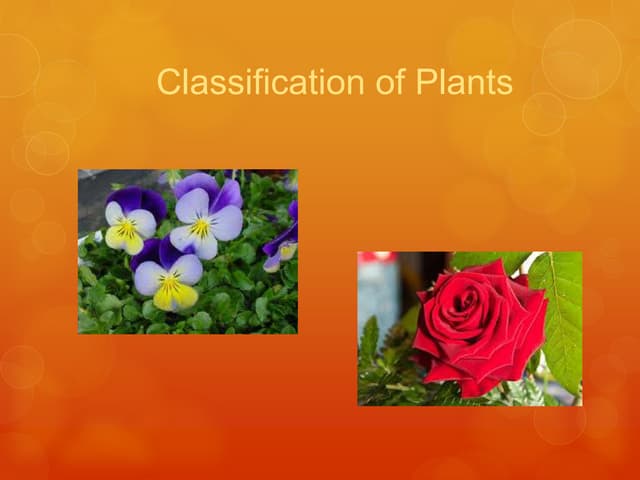 Types of Plants | PPTX
