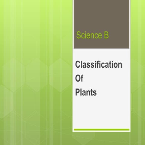Classification of Plants, divisions of plants.pptx