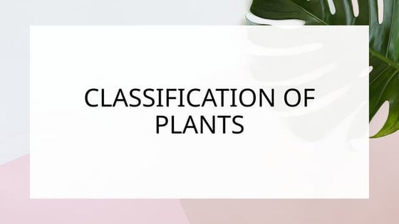 Basic presentation untuk pemula bisnis.pptx