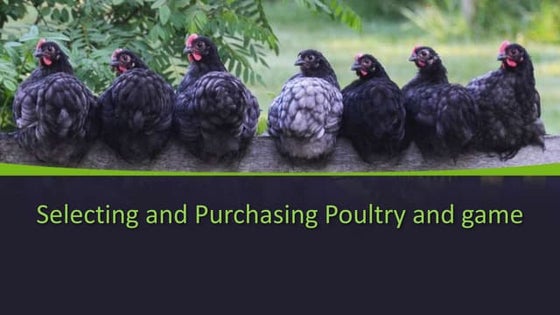 Dressing poultry | PPT