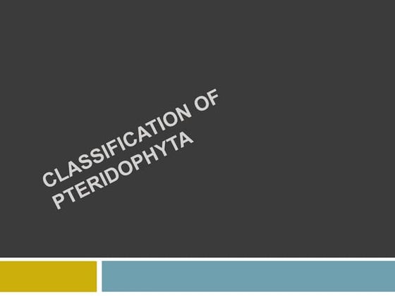 Synergids And Its Functions Reproductive Biology Of Angiosperms Ppt