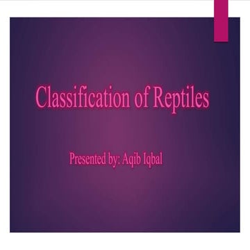 Classification of reptiles | PPTX