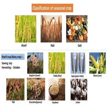 seasonal crop.pdf | Agriculture | Industries