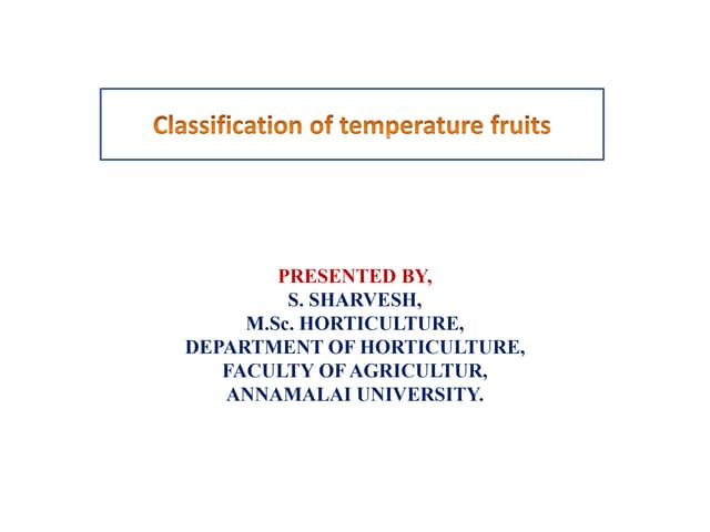Classification of Fruits and Vegetables....pdf