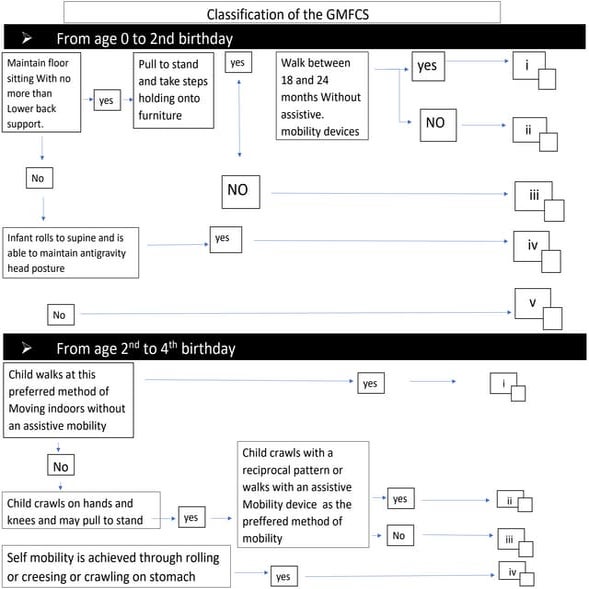 classification of the GMFCS.pdf