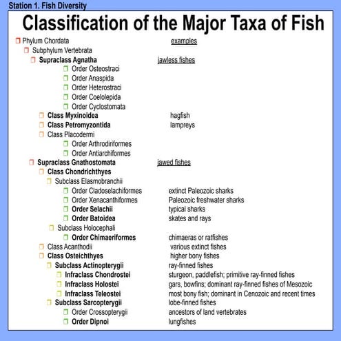 Classification of the Major Taxa of Fish.pdf