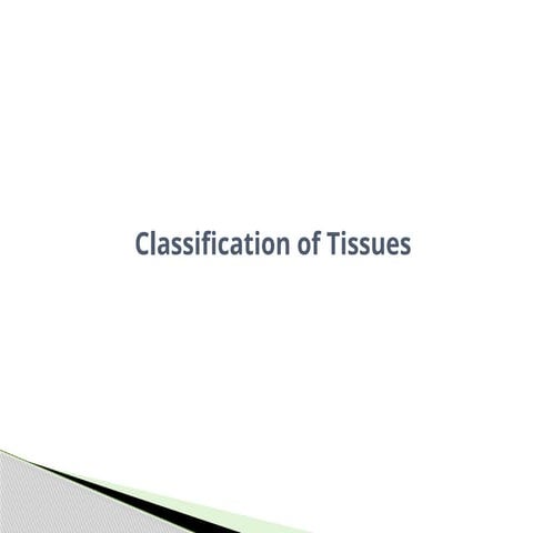 PowerPoint Presentation of Classification of Tissues.pptx | Skin and Dermatology | Diseases and ...