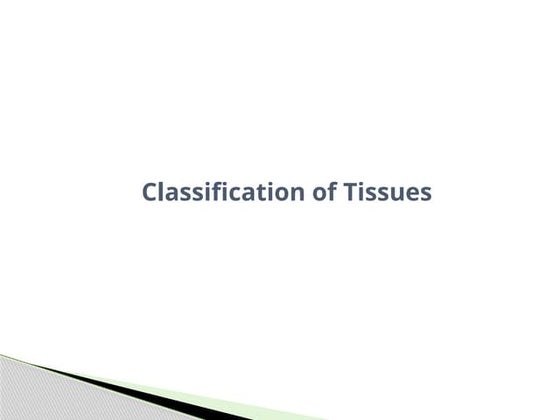 Introduction of tissue - Epithelial tissue | PDF
